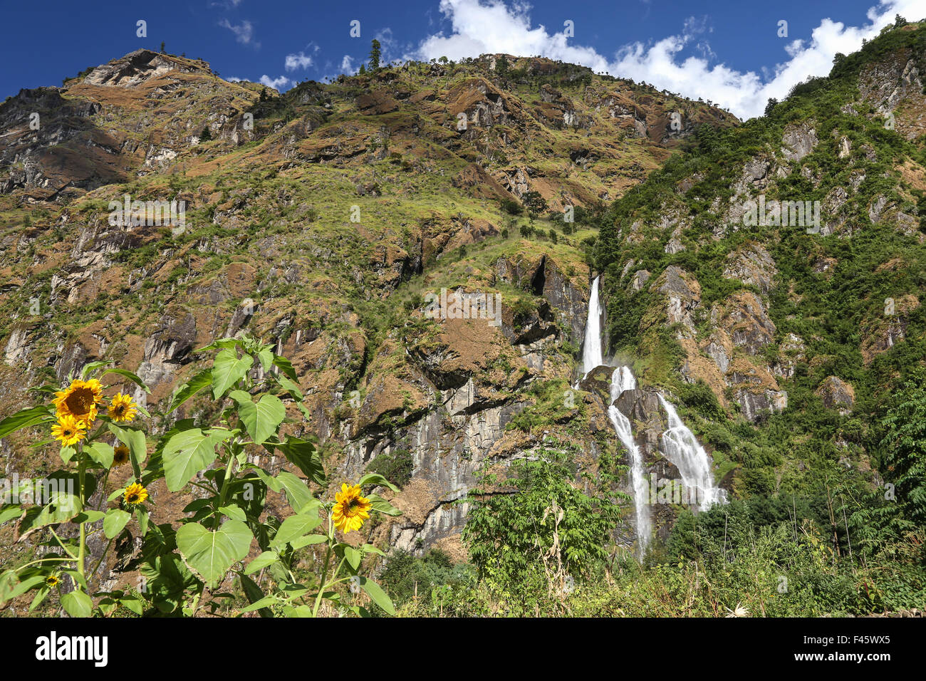 Waterfall in Himalayas Stock Photo - Alamy