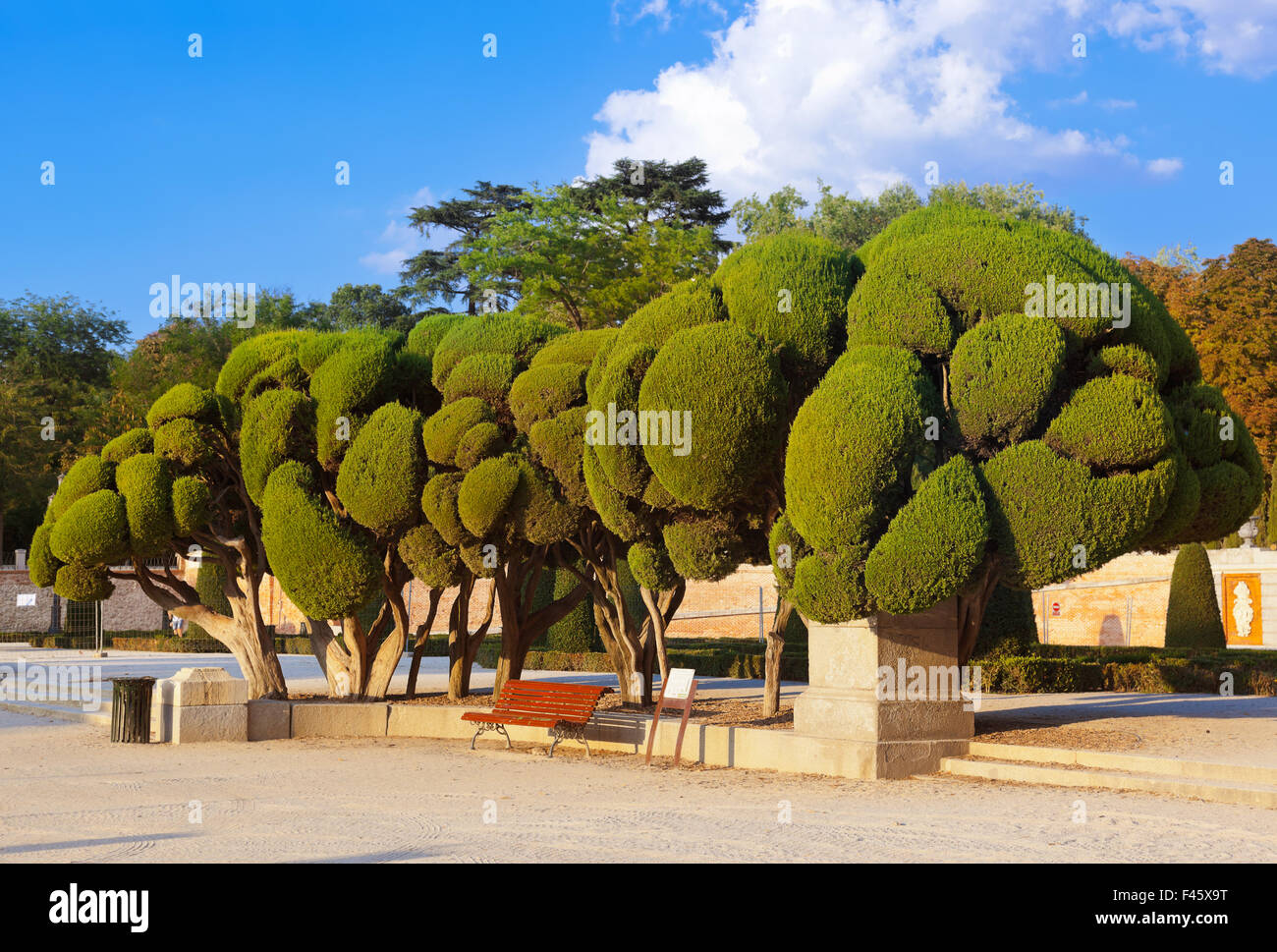 Trees at Retiro park - Madrid Stock Photo - Alamy