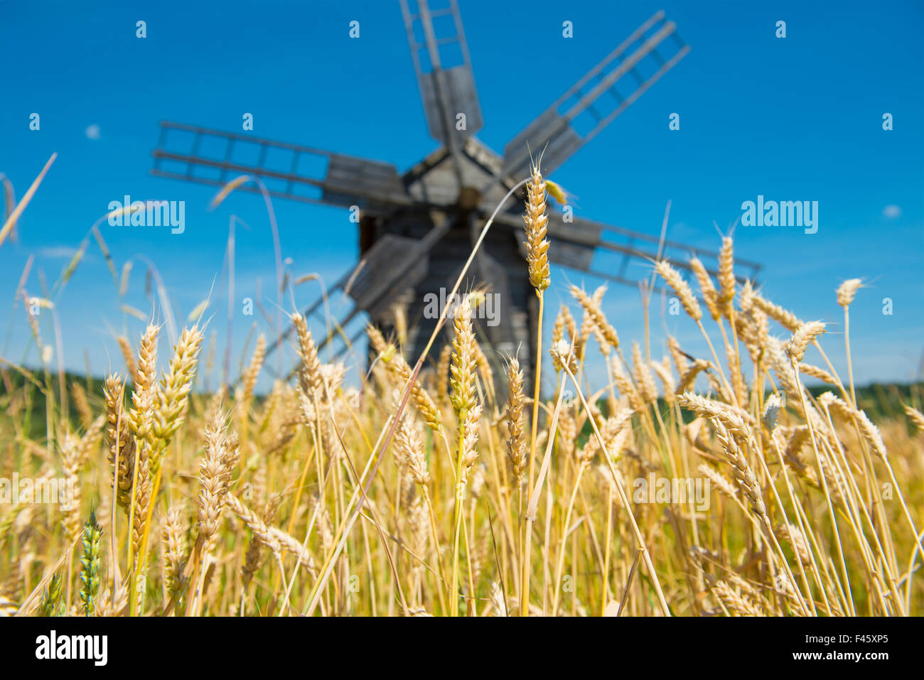 Mill on the wheat field Stock Photo - Alamy