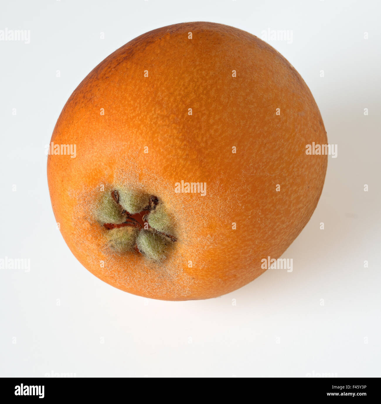 Eriobotrya hi-res stock photography and images - Alamy