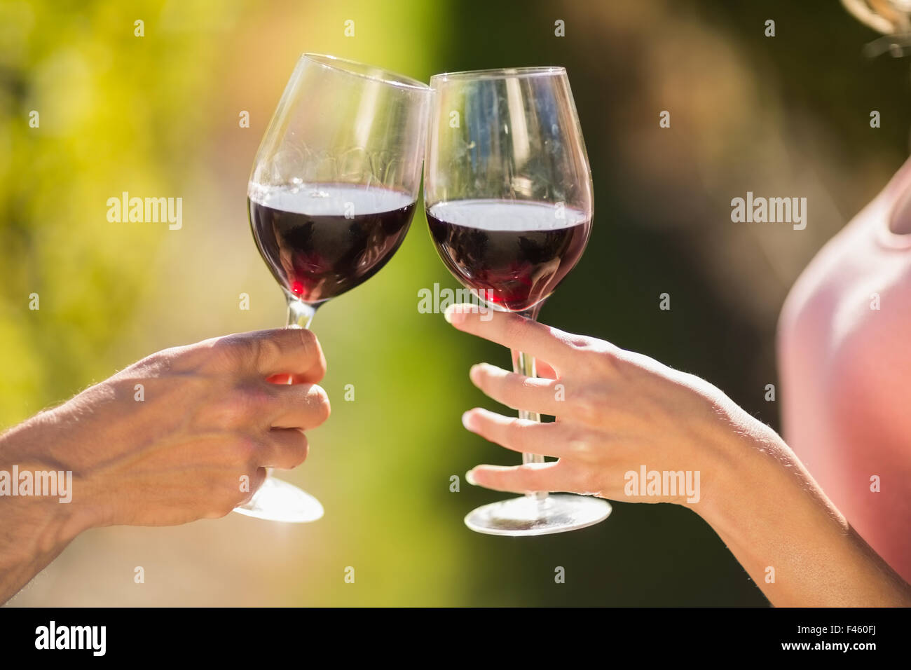 Couple toasting with red wine Stock Photo - Alamy
