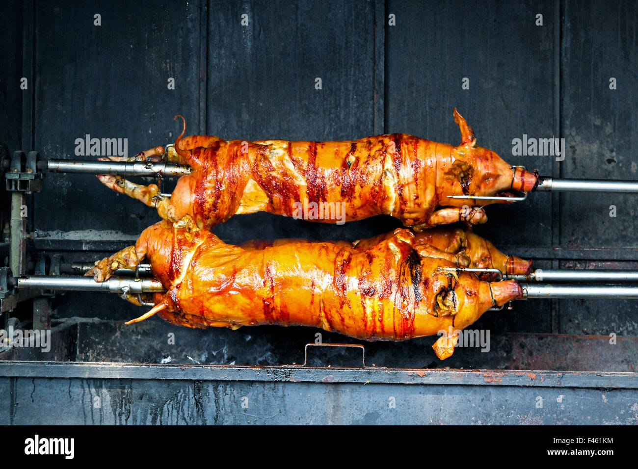 Fat pigs hi-res stock photography and images - Alamy