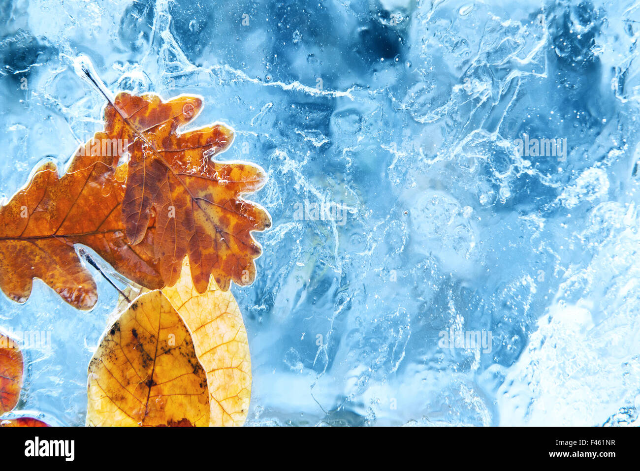 Fallen autumn leaves in the blue ice Stock Photo - Alamy