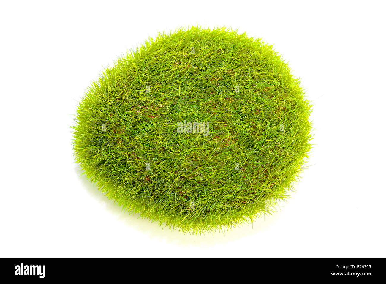 Bush home Cut Out Stock Images & Pictures - Alamy