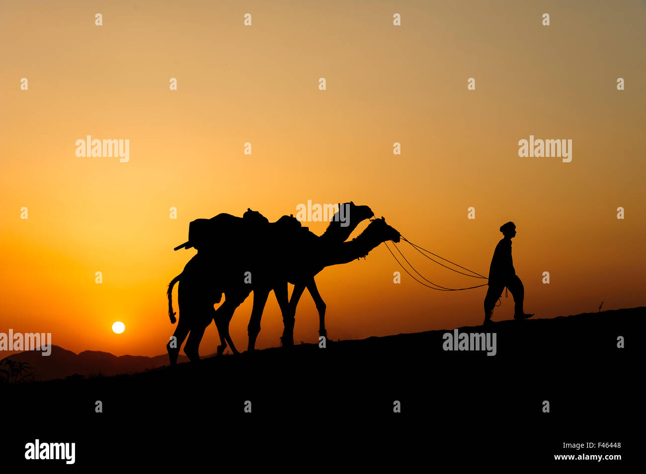 Silhouette of the Camel Trader across the sand dune during sunset at ...