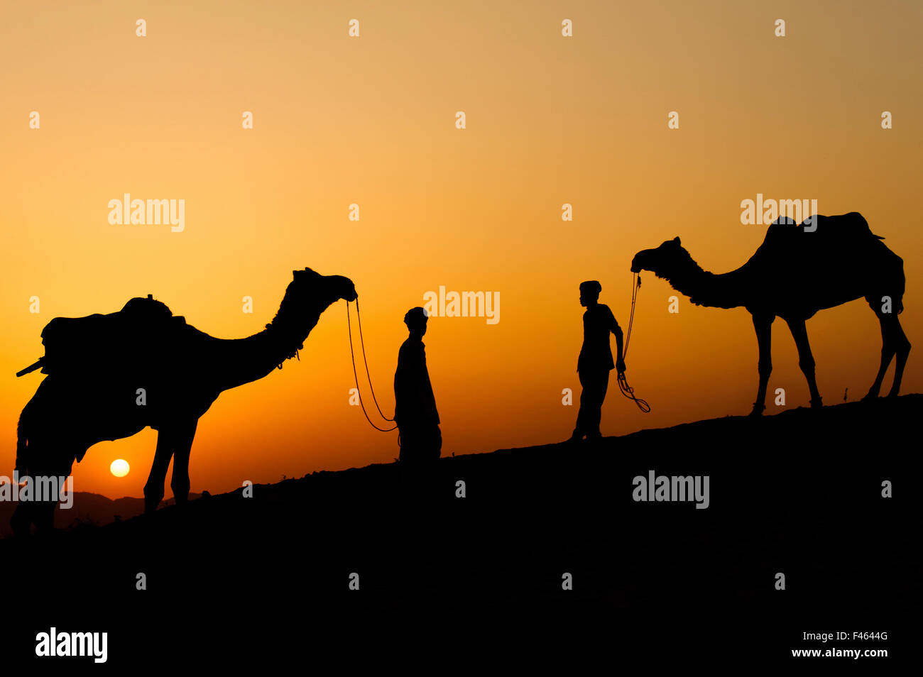 Silhouette of the Camel Trader across the sand dune during sunset at ...