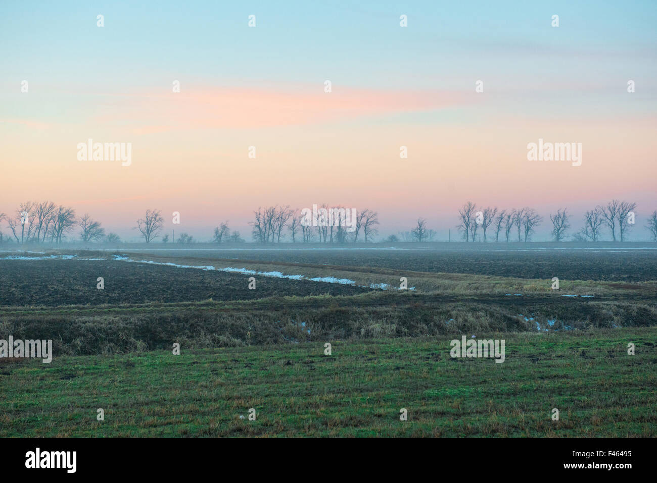 Morning field with trees Stock Photo - Alamy