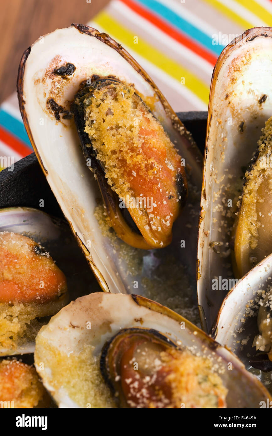Delicious Fresh Clams with herbs Stock Photo - Alamy