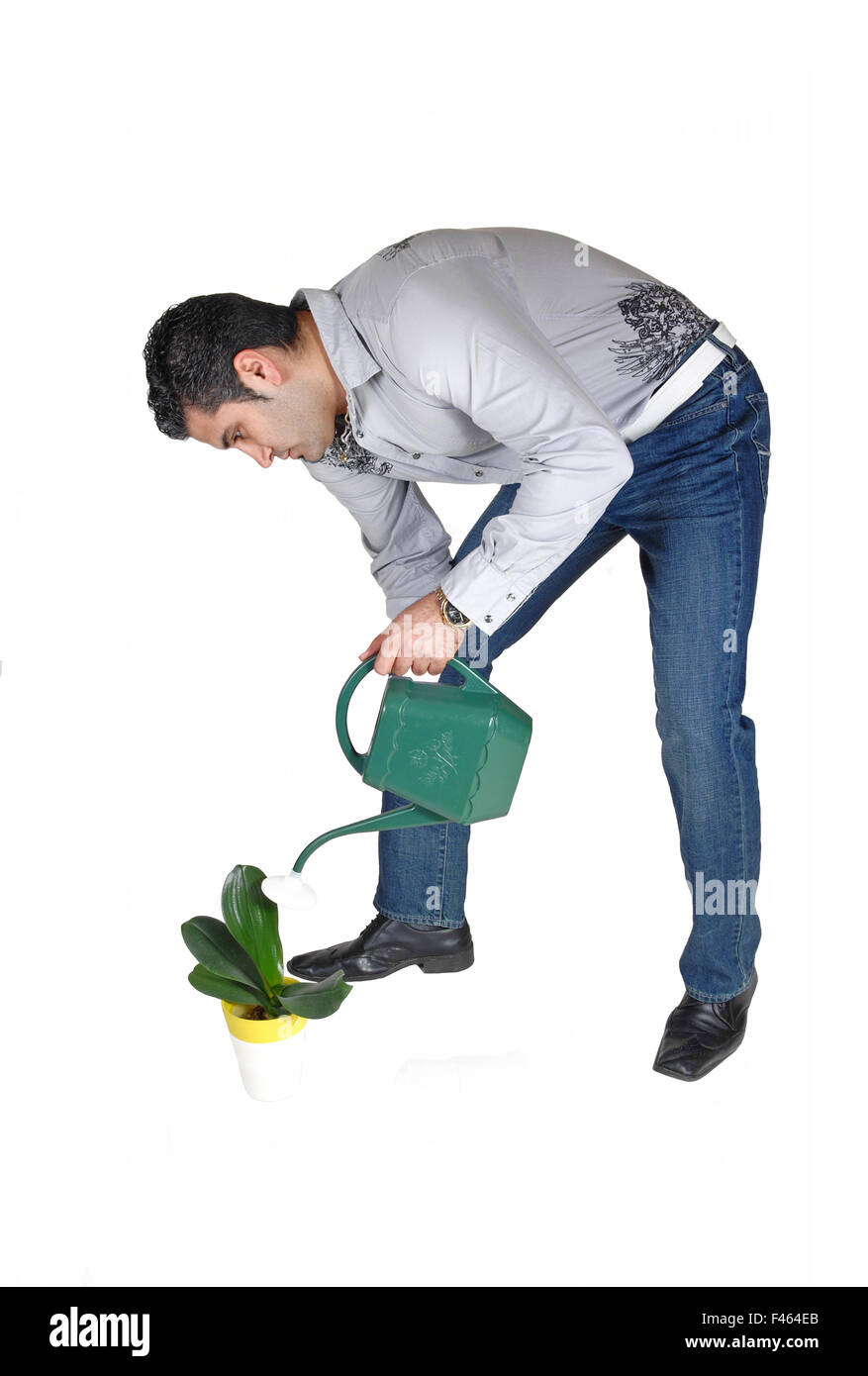 Man watering plant Stock Photo - Alamy