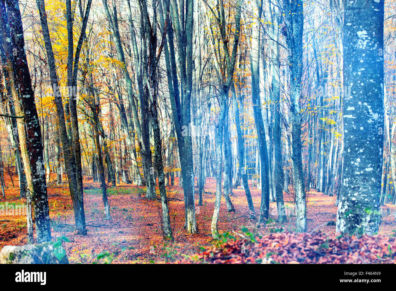 Smoke in environment hi-res stock photography and images - Alamy