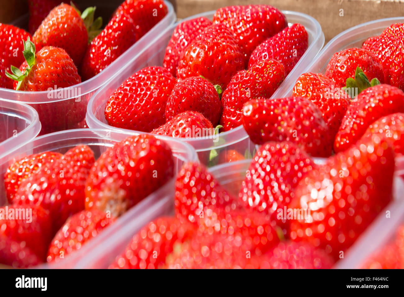 Strawberry isolated farm harvest hi-res stock photography and images ...