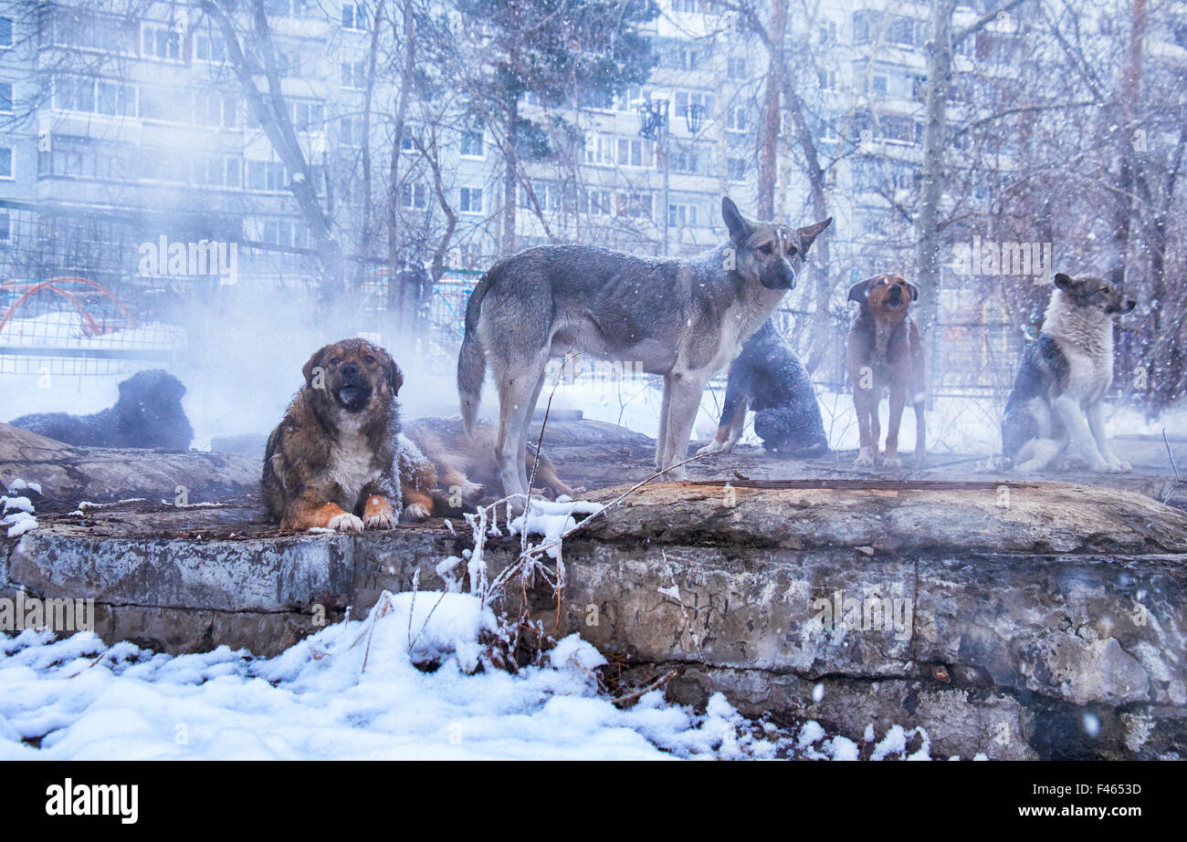 Homeless in cold weather hi-res stock photography and images - Alamy