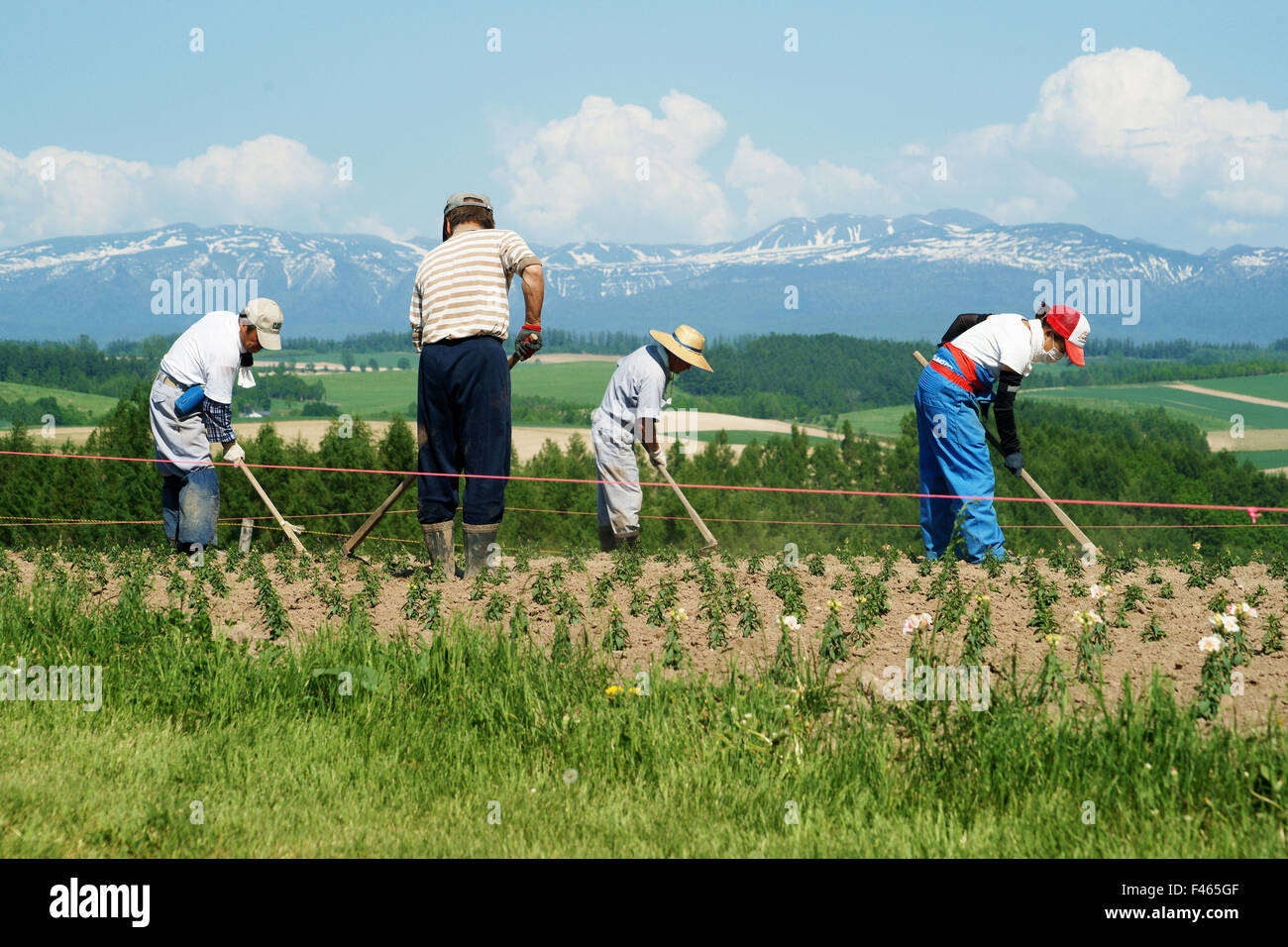 Farmers in cultivated field hi-res stock photography and images - Alamy