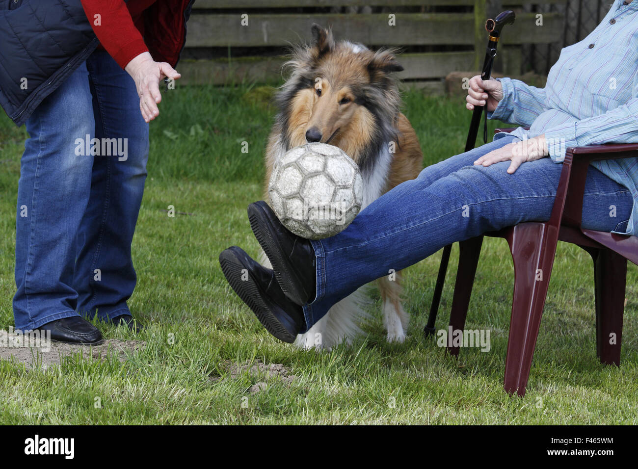 Animal assisted therapy hi-res stock photography and images - Alamy