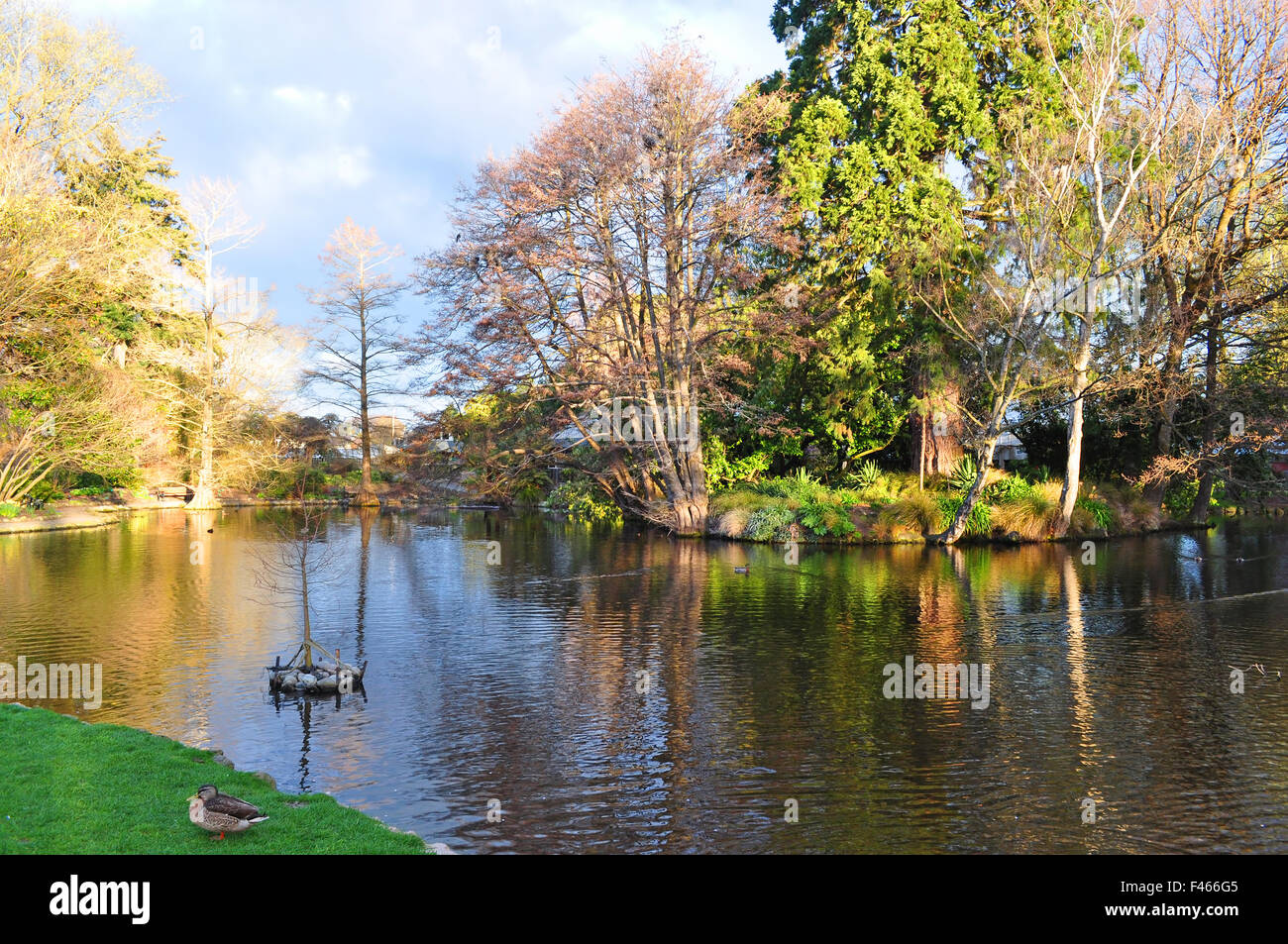 Path by the river in the park autumn season Stock Photo - Alamy