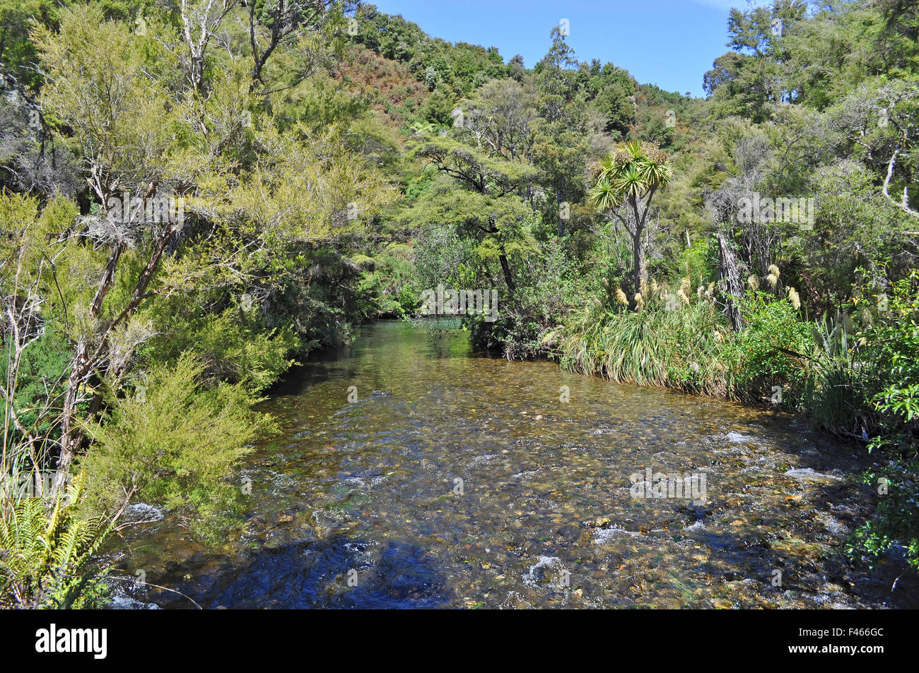 Path by the river in the park autumn season Stock Photo - Alamy