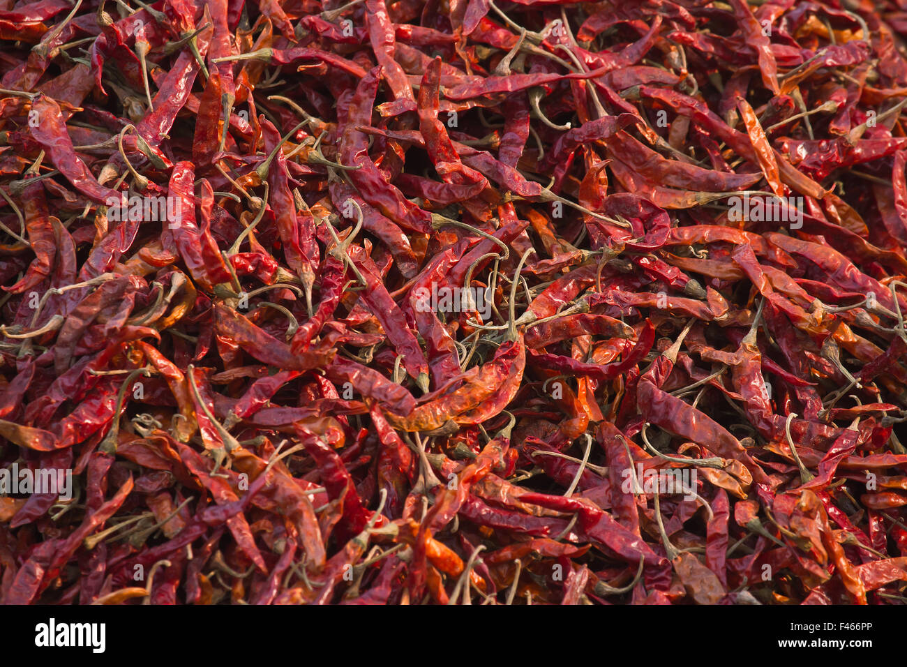 Nepal capsicum hi-res stock photography and images - Alamy
