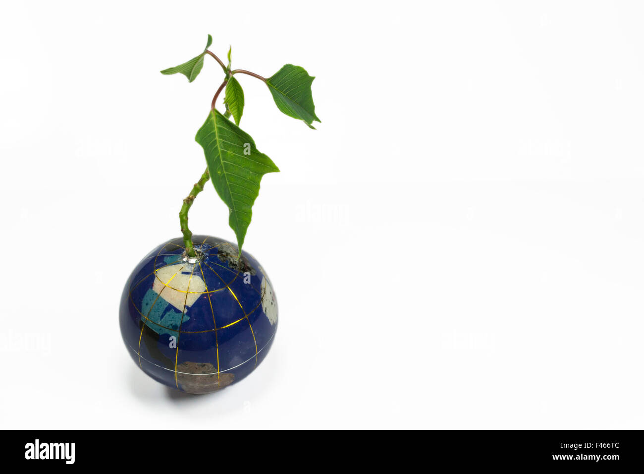 Sustainable future hi-res stock photography and images - Alamy