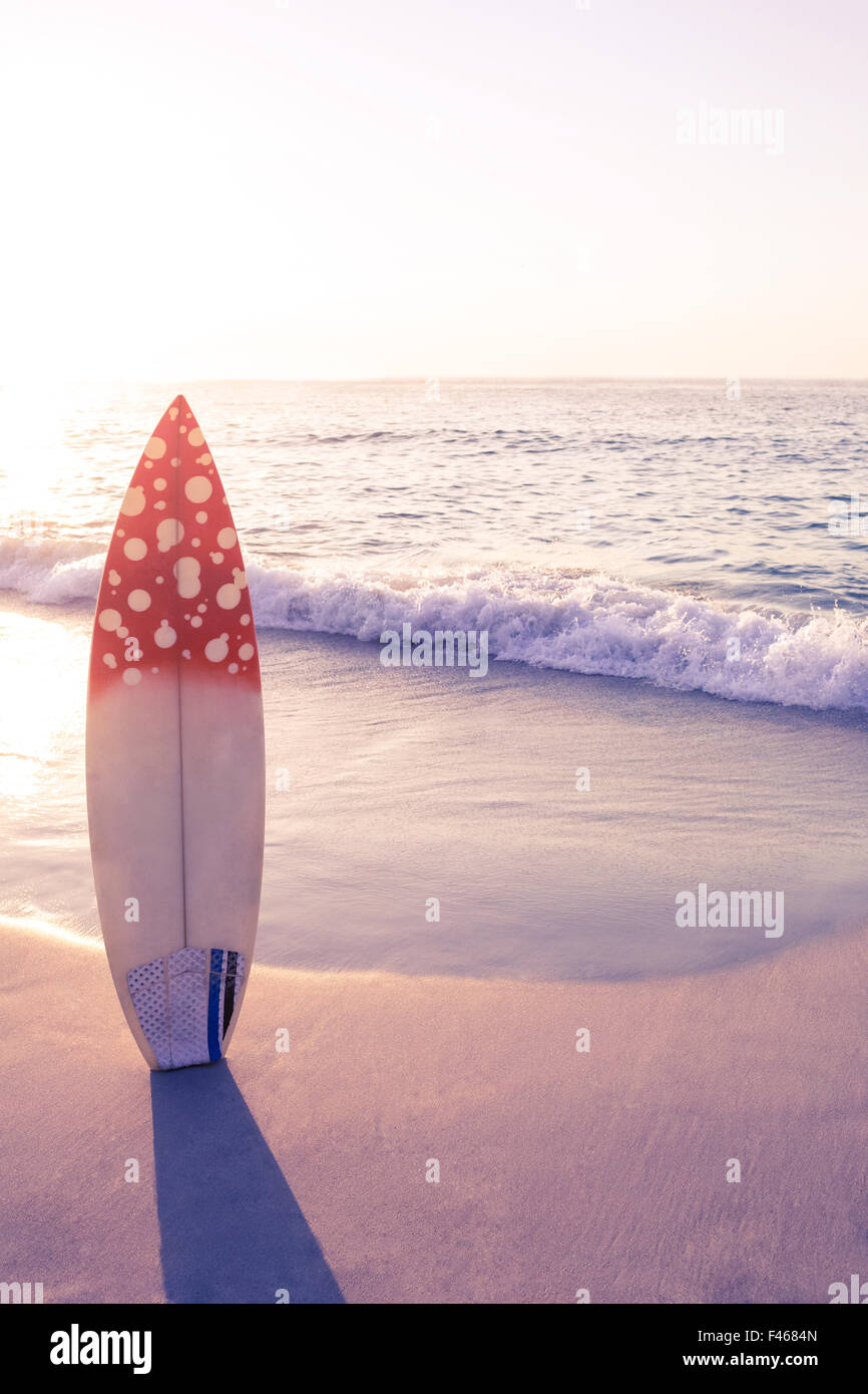 surf board standing on the sand Stock Photo - Alamy