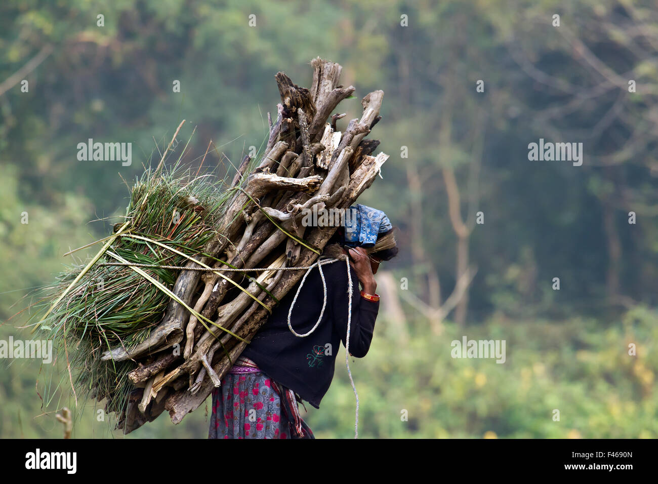 Indigenous people india forest hi-res stock photography and images - Alamy