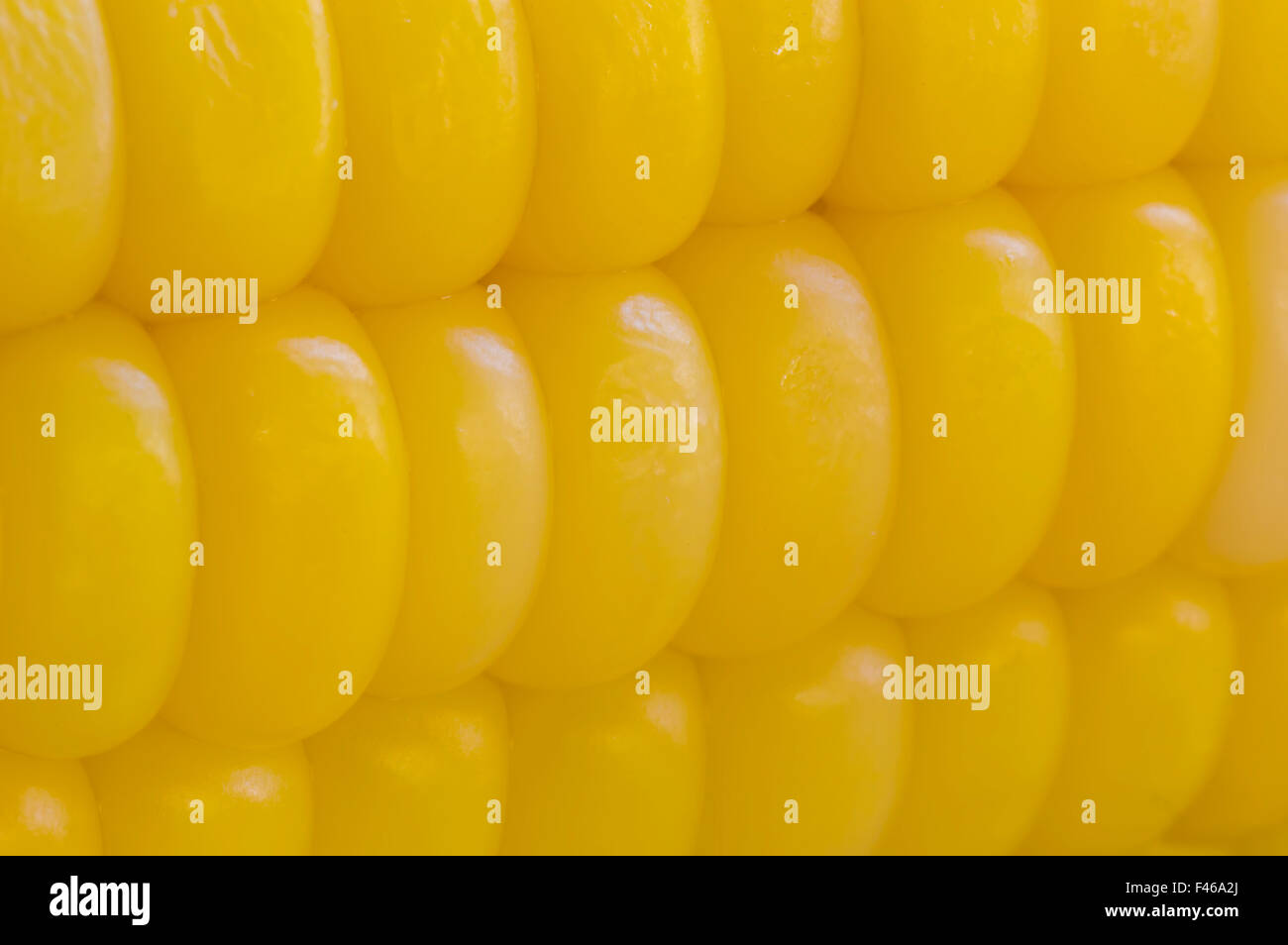 yellow corn ear, close up macro surface top view background Stock Photo ...