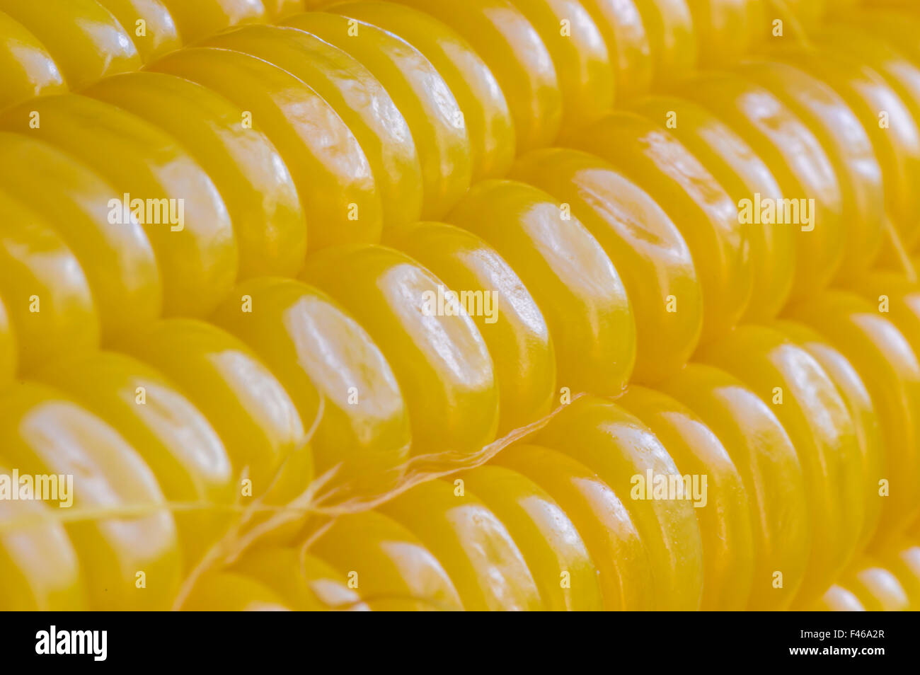 yellow corn ear, close up macro surface top view background Stock Photo ...