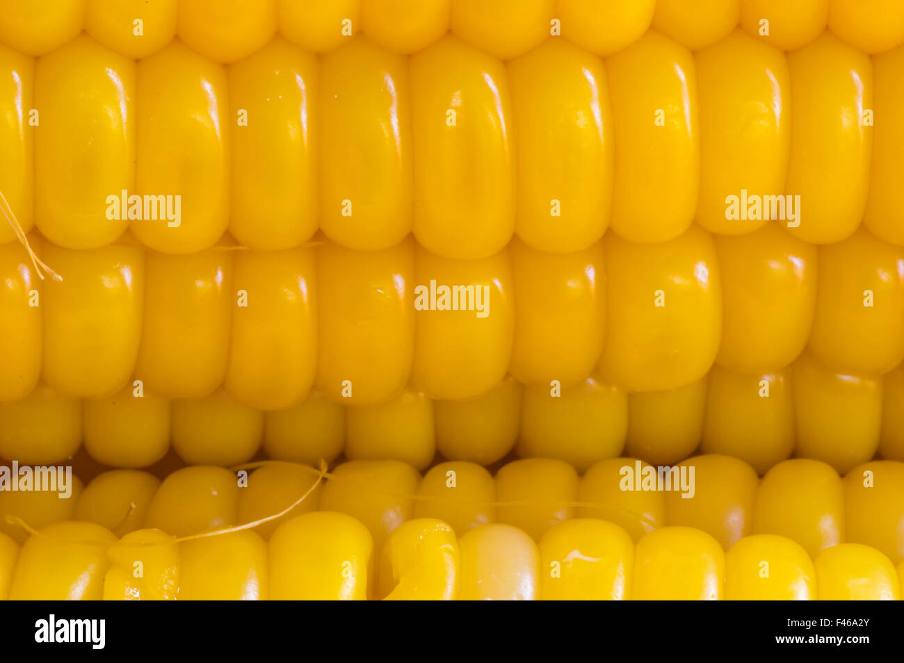 yellow corn ear, close up macro surface top view background Stock Photo ...