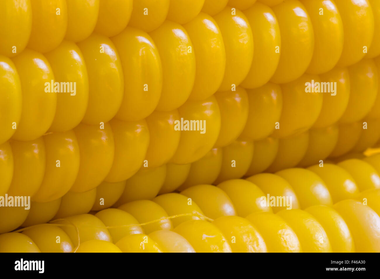 yellow corn ear, close up macro surface top view background Stock Photo ...