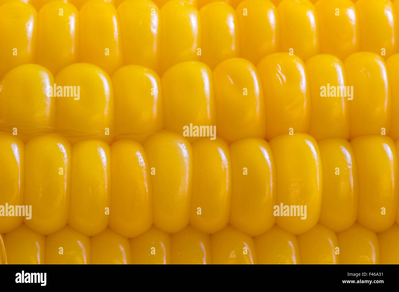 yellow corn ear, close up macro surface top view background Stock Photo ...