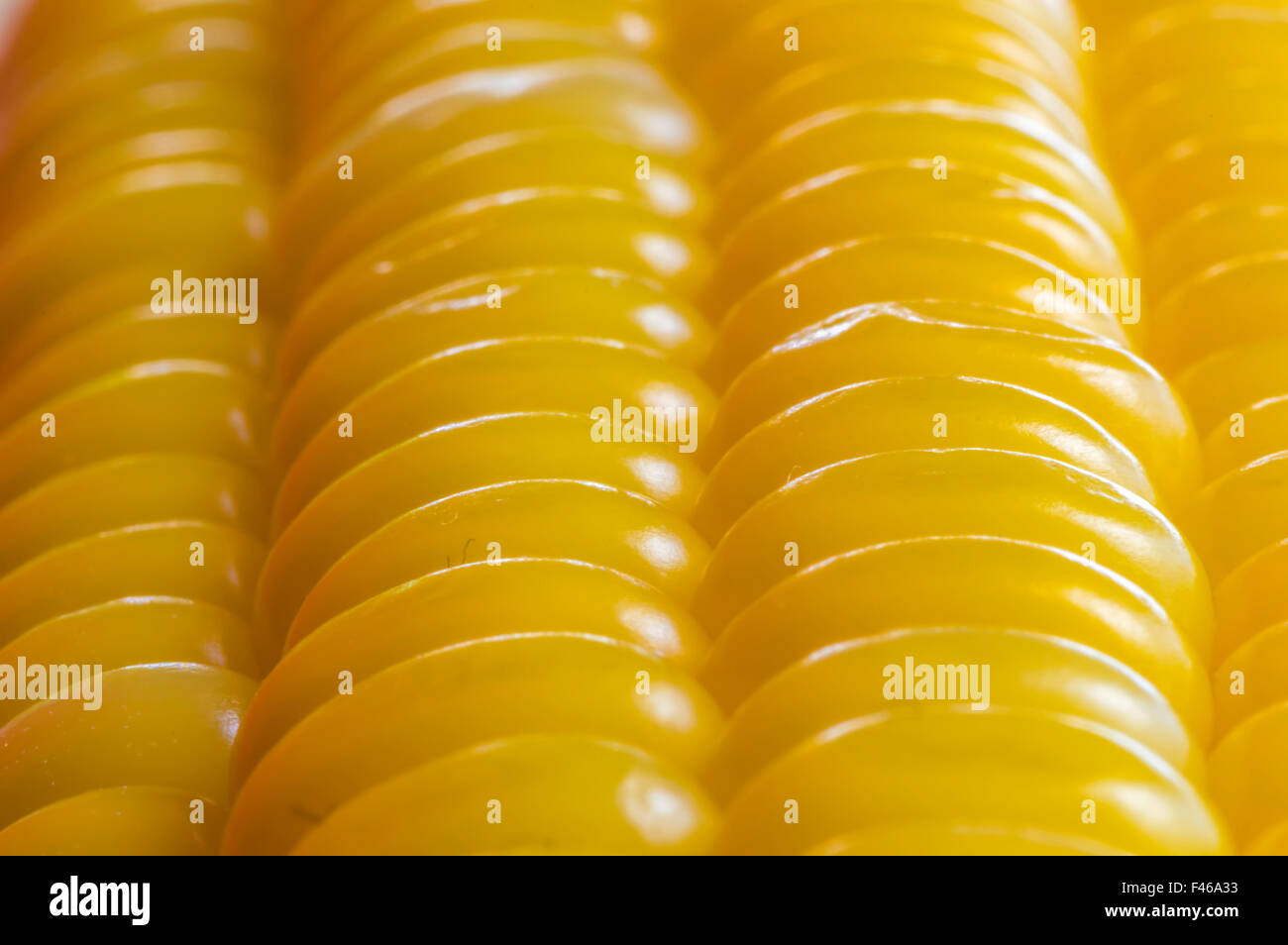 yellow corn ear, close up macro surface top view background Stock Photo ...