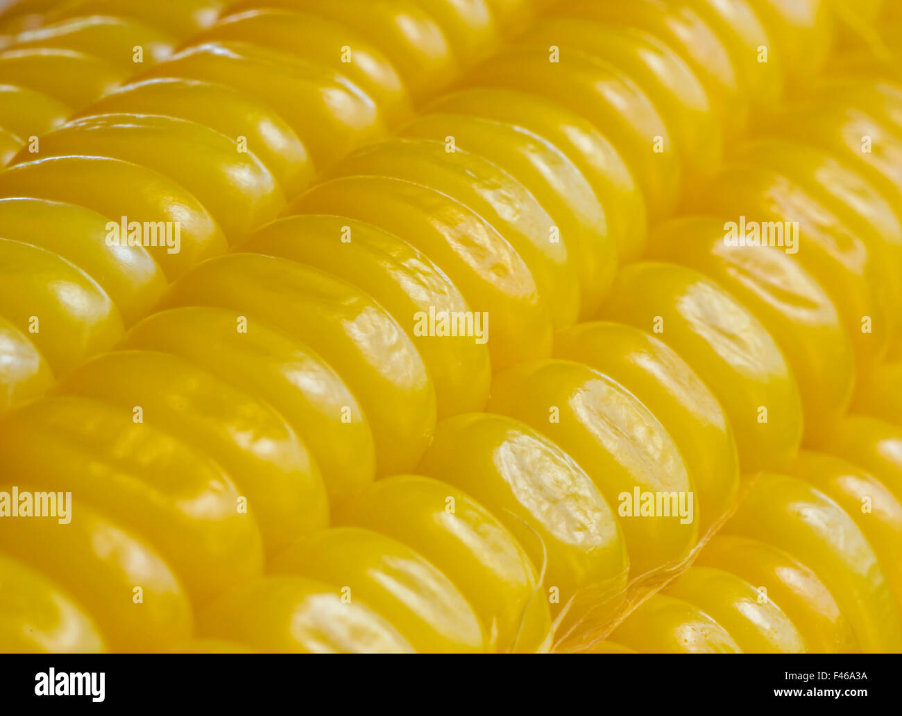 yellow corn ear, close up macro surface top view background Stock Photo ...