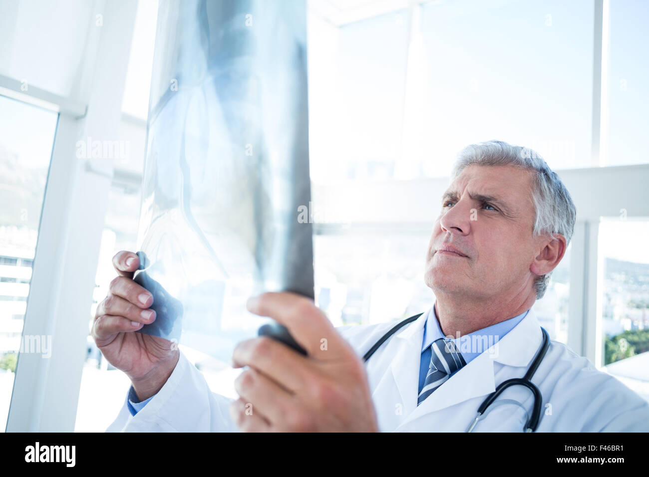 Serious doctor analyzing xray Stock Photo - Alamy