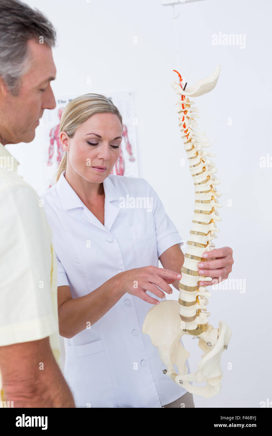 Doctor showing her patient a spine model Stock Photo - Alamy