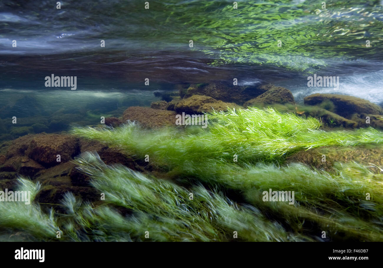 Underwater current hi-res stock photography and images - Alamy