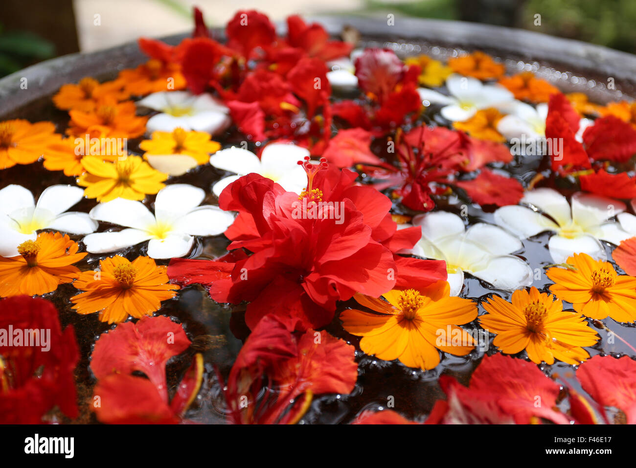 Beautiful flowers in a vase at the spa salon Stock Photo - Alamy