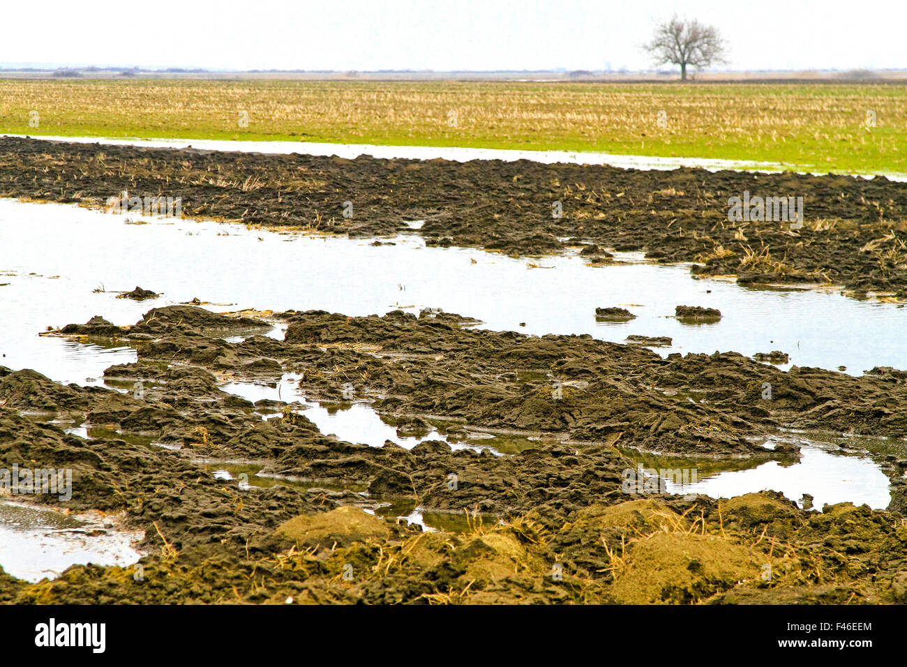 Field damage flood hi-res stock photography and images - Alamy