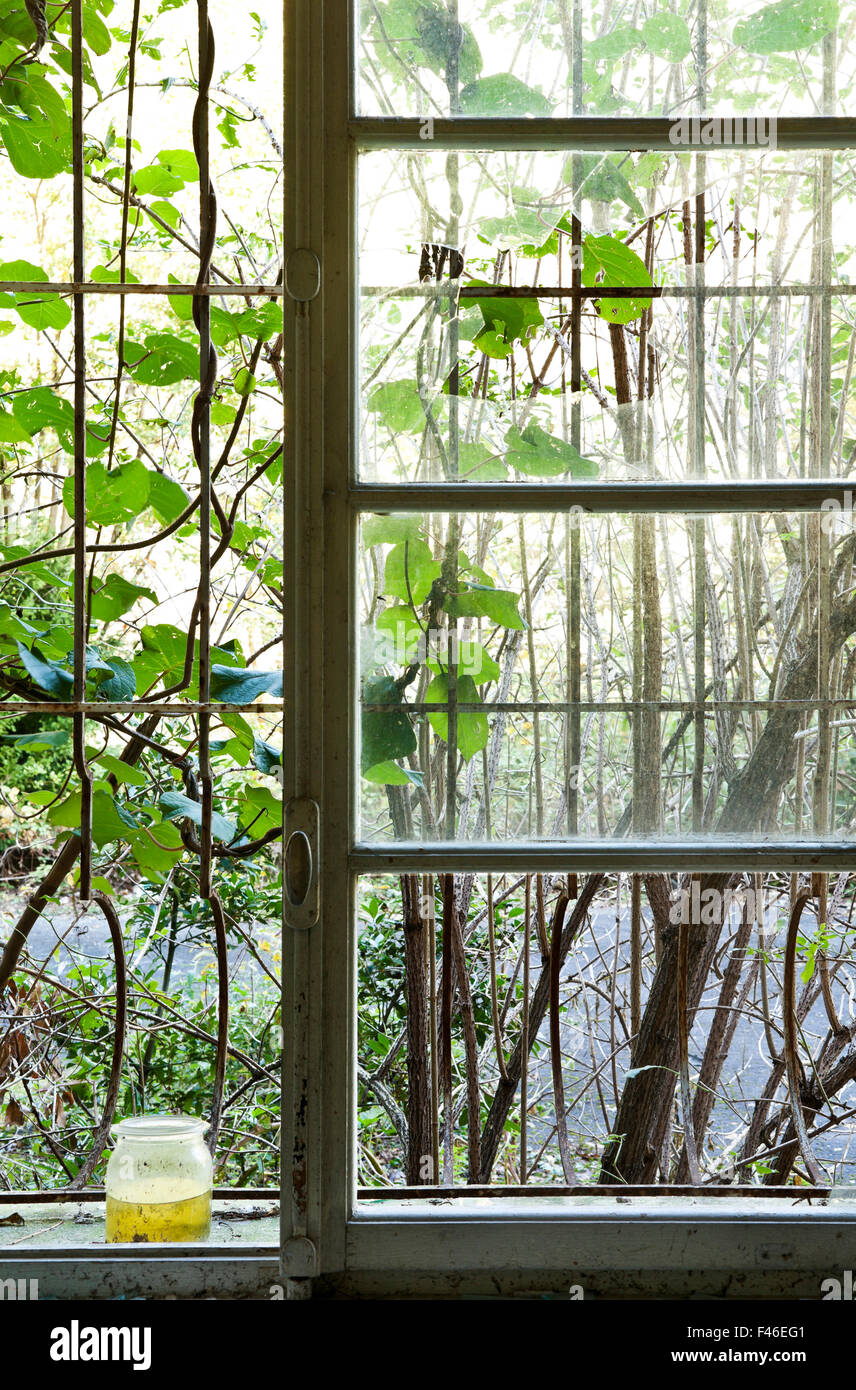 abandoned building, window, broken glass Stock Photo - Alamy