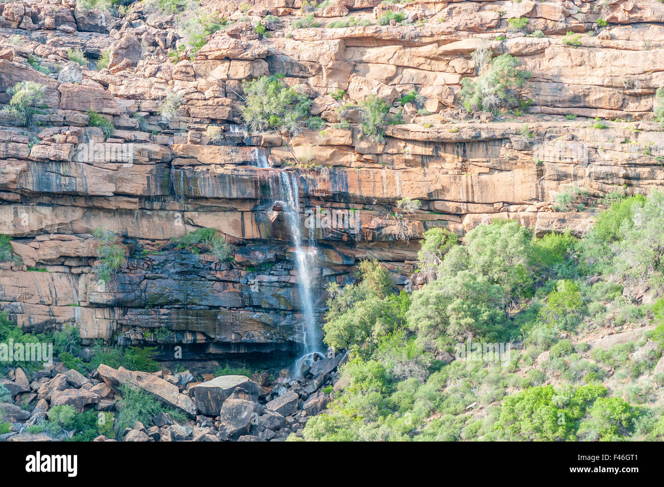 Vanrhynsdorp namaqualand hi-res stock photography and images - Alamy