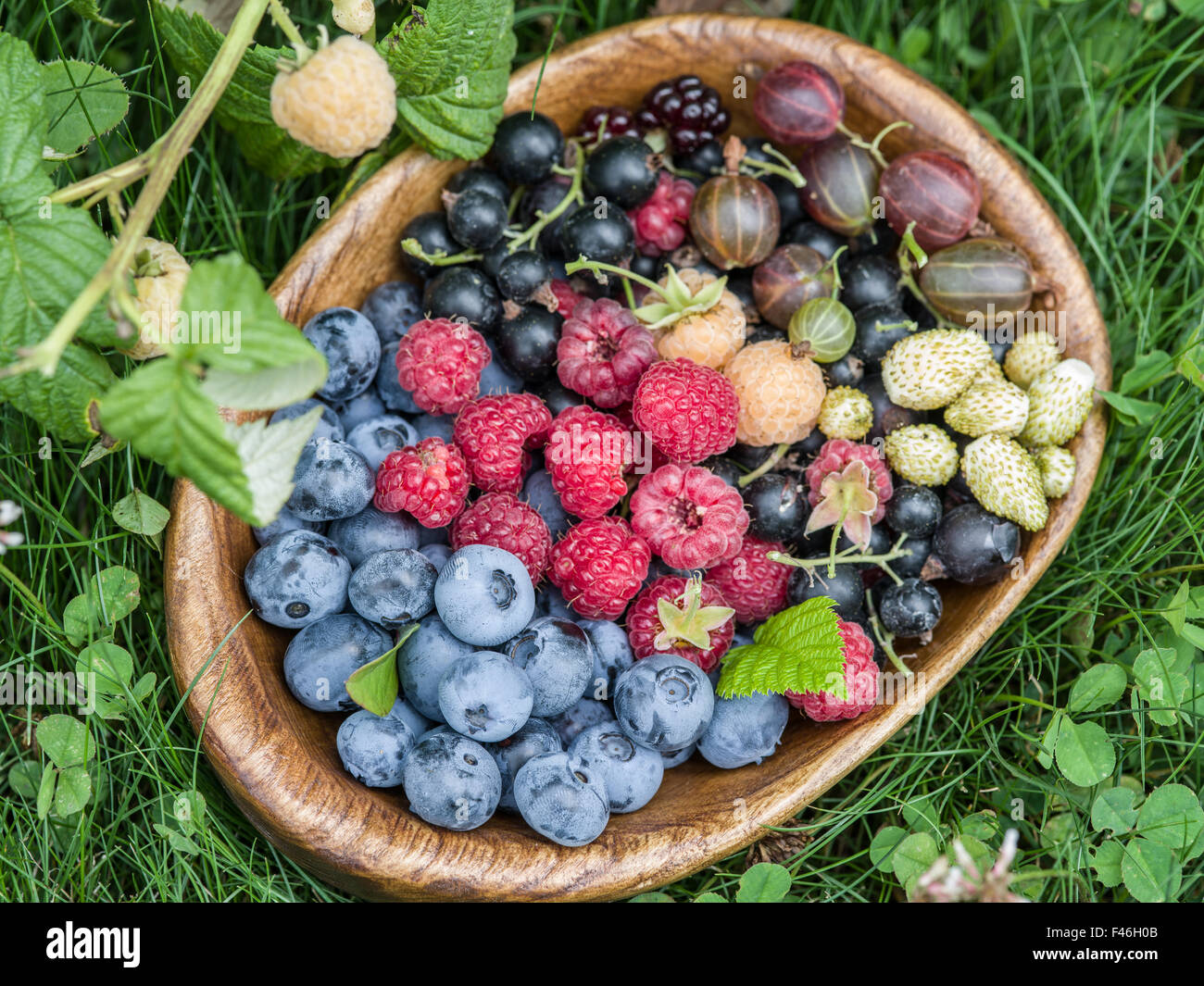Ripe berries in the wooden bowl over green grass Stock Photo - Alamy
