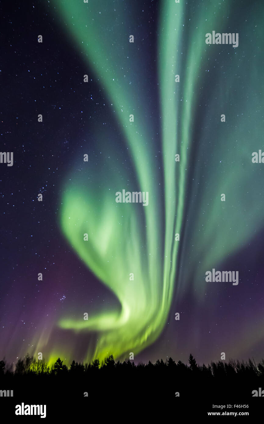 Northern lights over forest in hi-res stock photography and images - Alamy