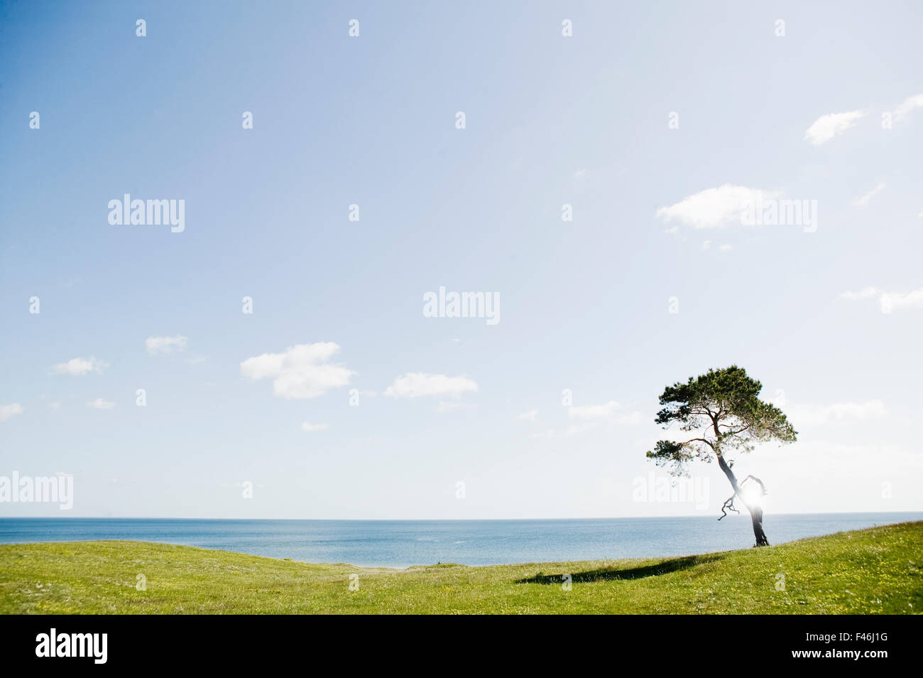 Havang hi-res stock photography and images - Alamy