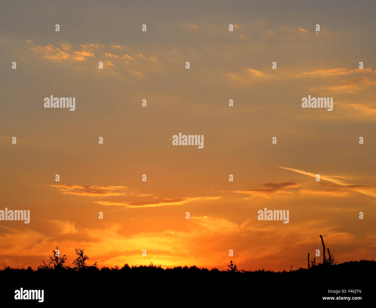 Beautiful sunset with bright light in rustic field Stock Photo - Alamy