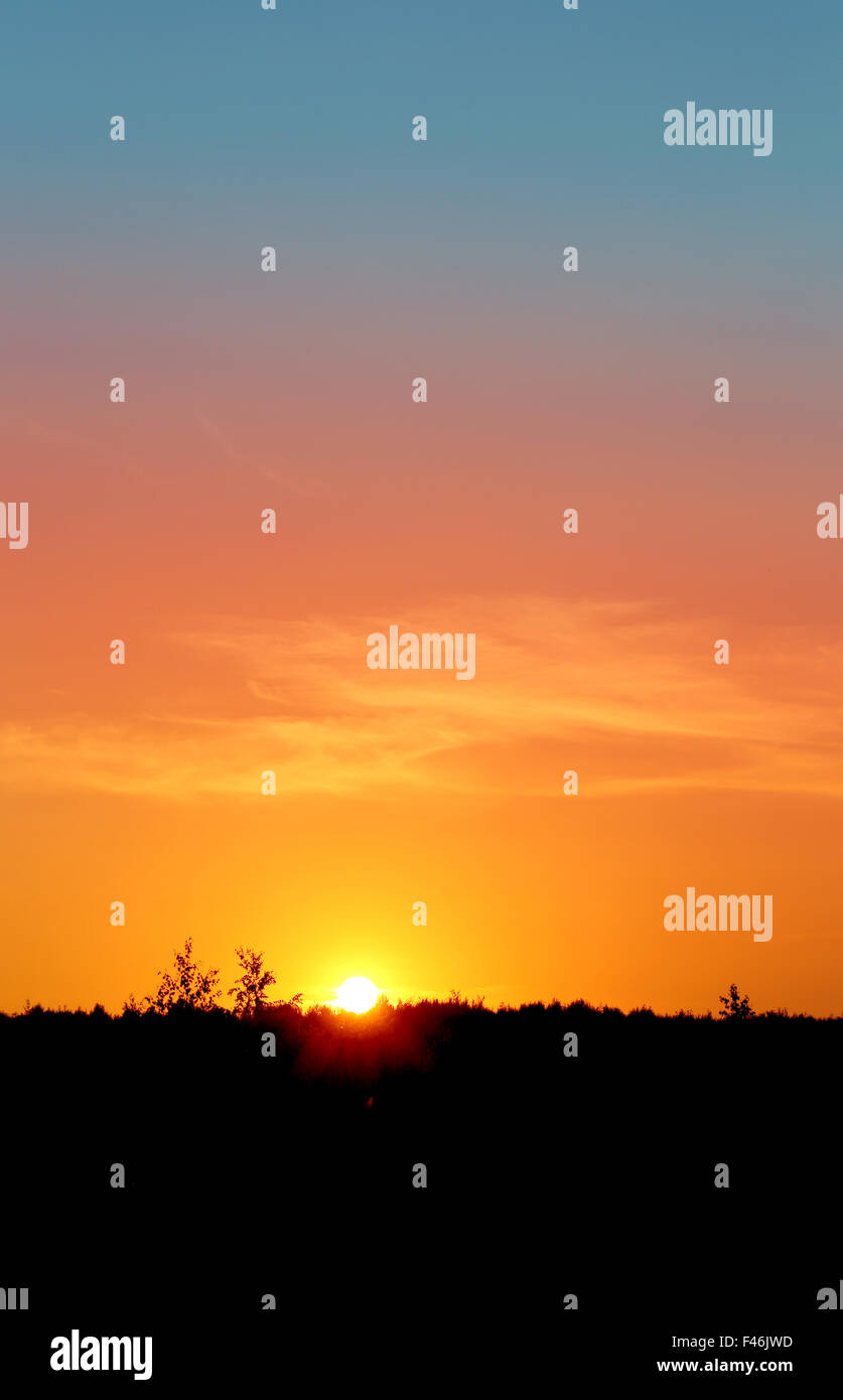 Beautiful sunset with bright light in rustic field Stock Photo - Alamy