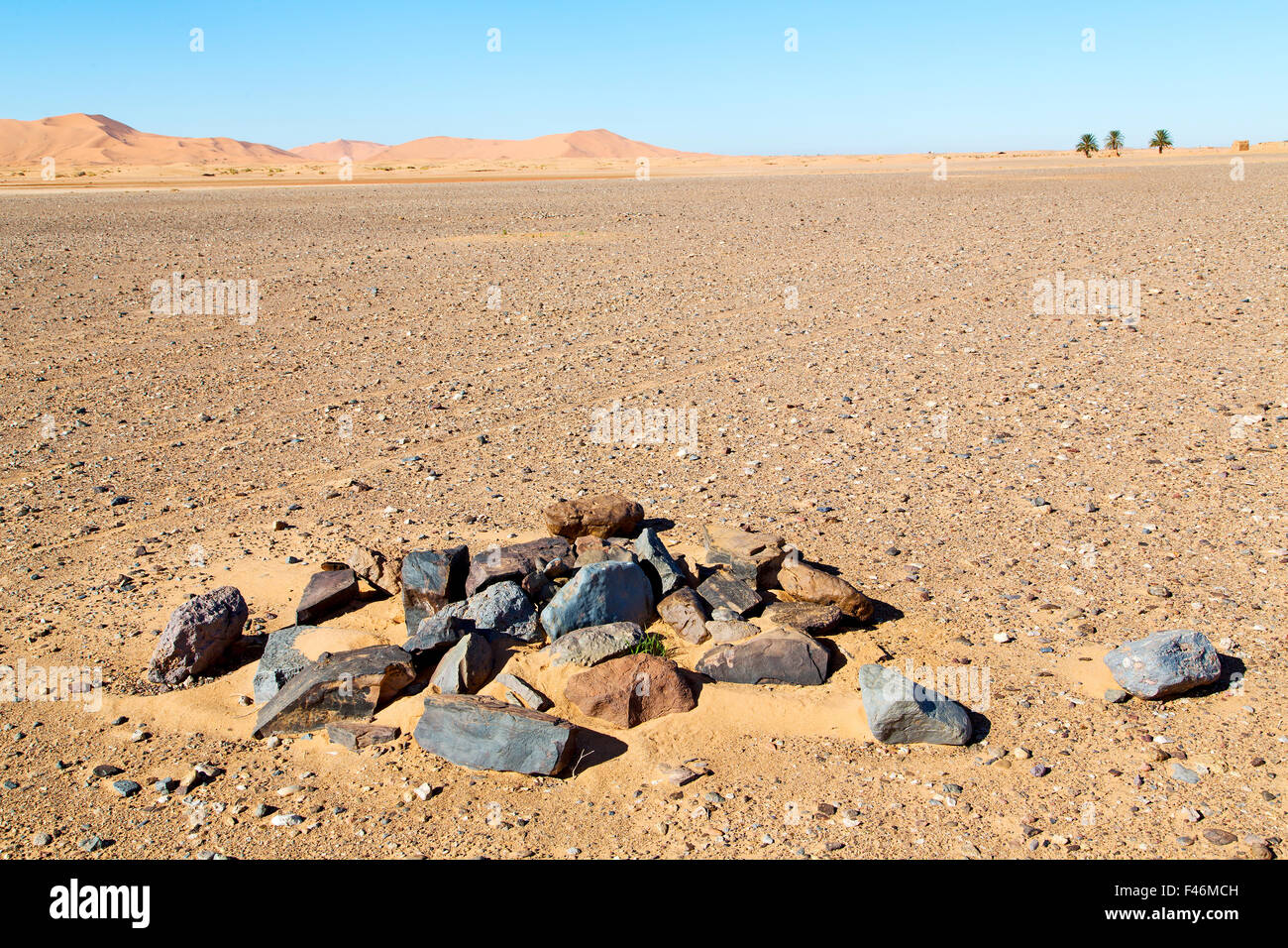 old fossil in the desert of morocco sahara and rock stone sky Stock ...