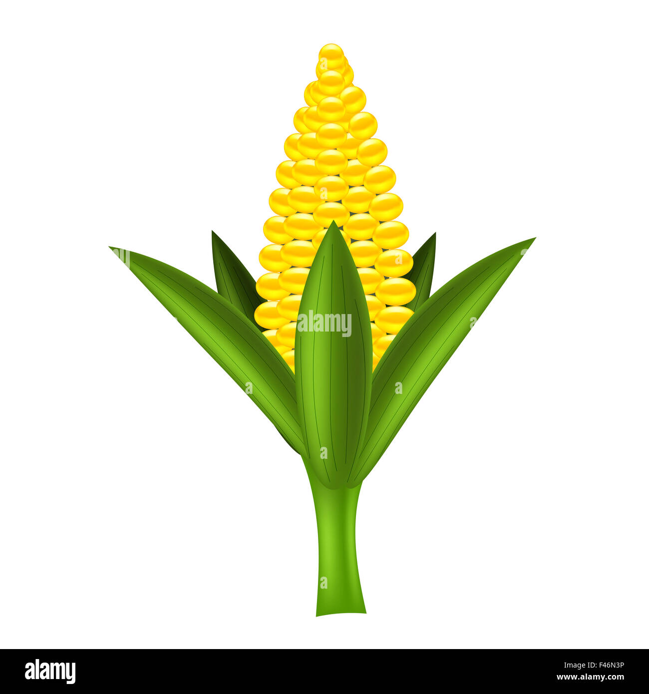 Native corn maize Cut Out Stock Images & Pictures - Alamy