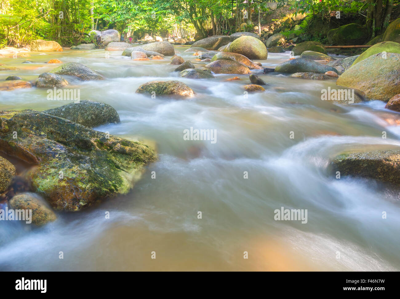 water stream in deep tropical forest Stock Photo - Alamy