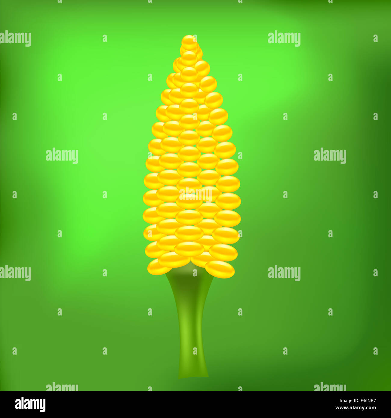 Realistic corn cob hi-res stock photography and images - Alamy