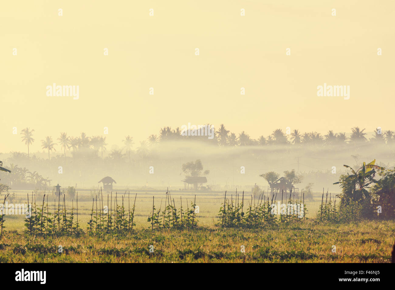 Indonesia landscapes hi-res stock photography and images - Alamy