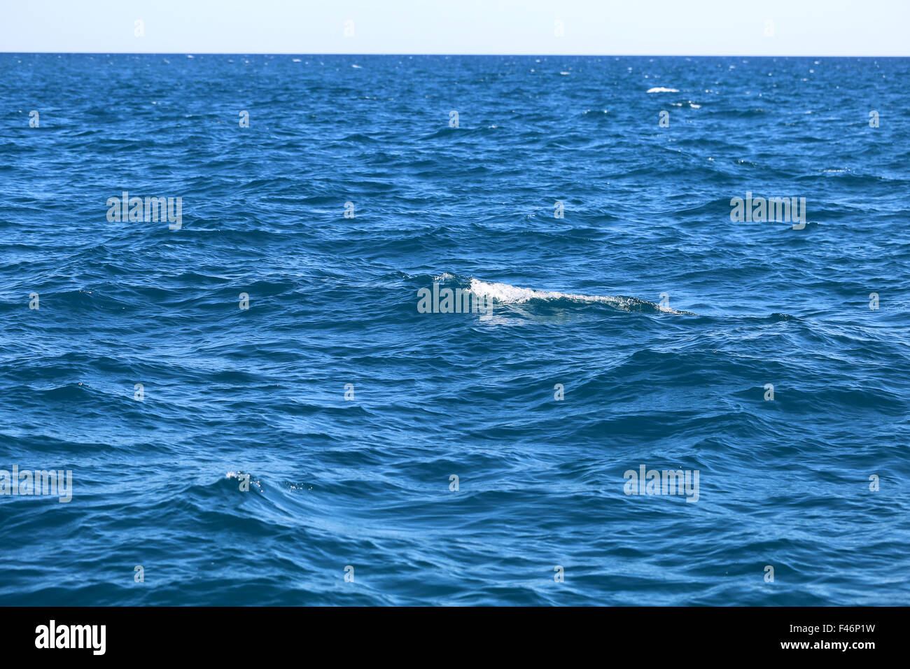 background bright blue sea waves on a windy day Stock Photo - Alamy