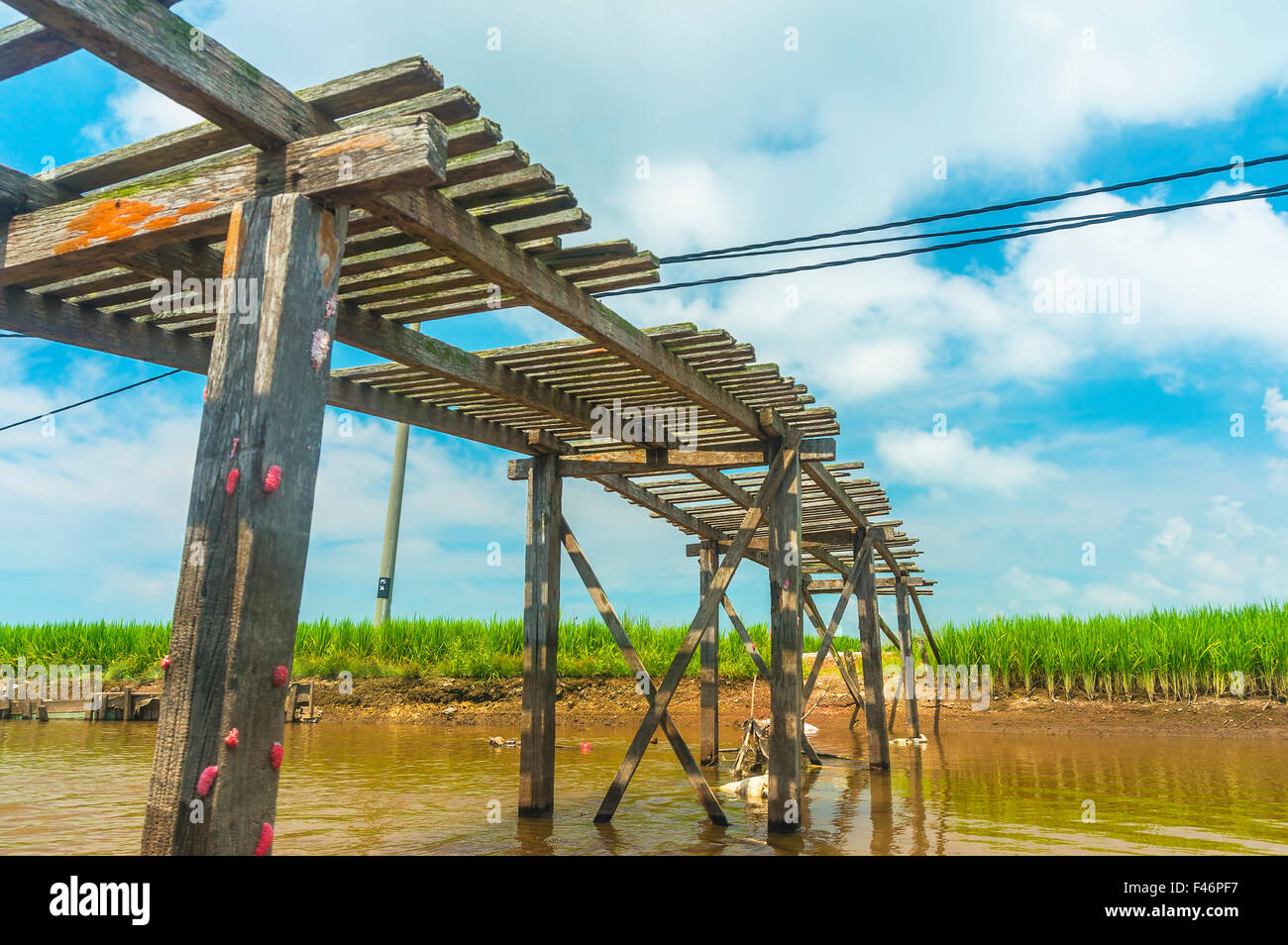 obsolete wooden bridge with paddy field background Stock Photo - Alamy